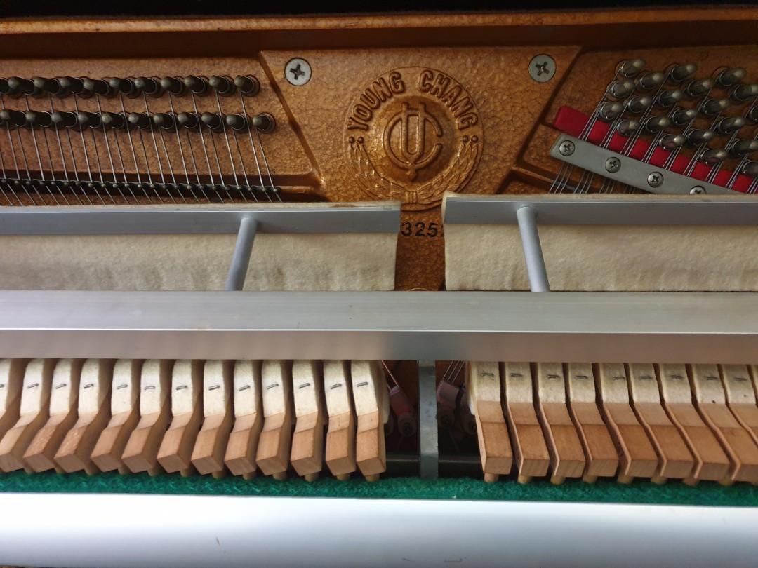 YOUNG CHANG, Hobbies & Toys, Music & Media, Musical Instruments on ...