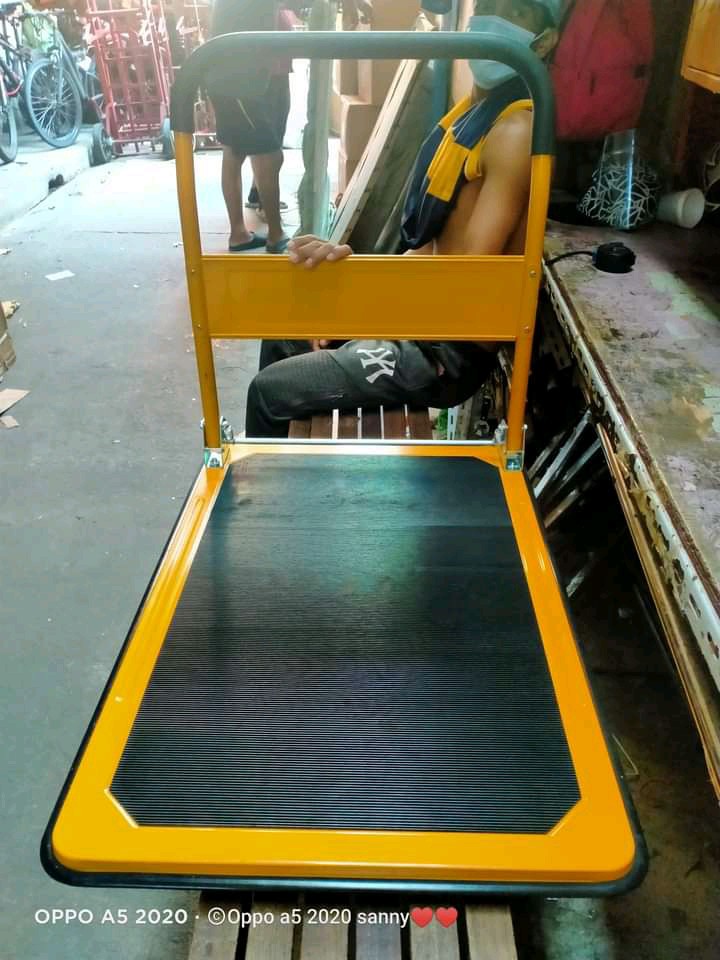 Heavy Duty Steel Platform Push Cart, Furniture & Home Living, Home ...