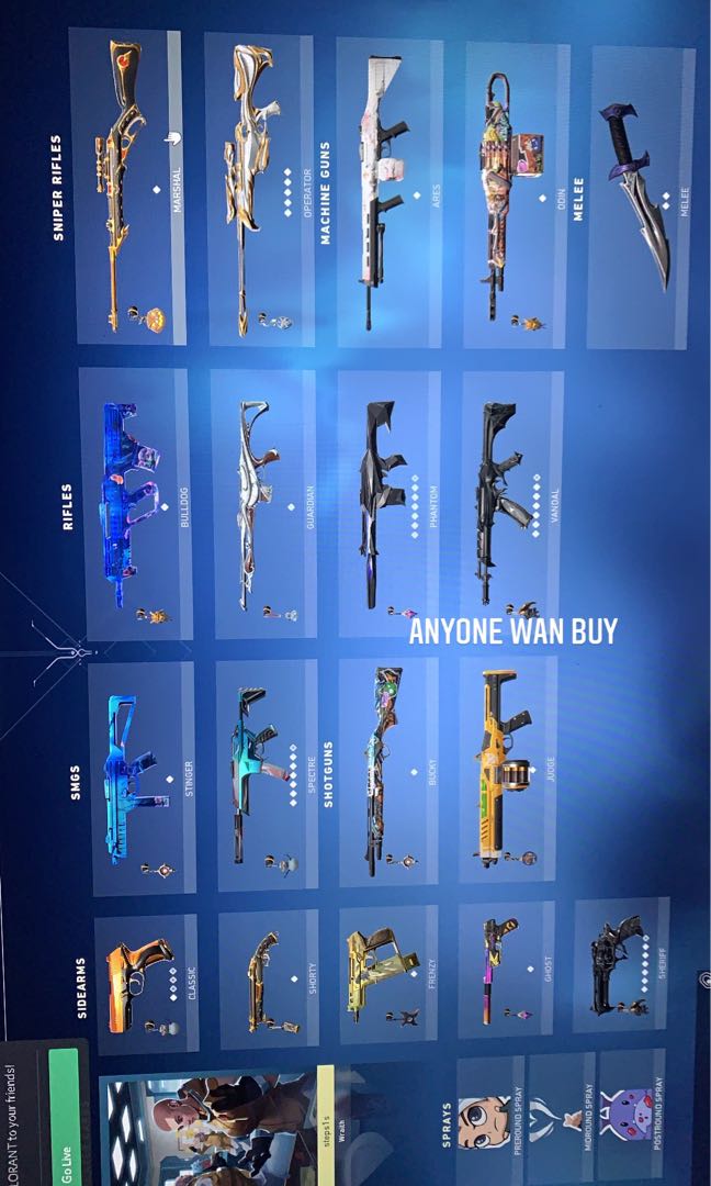valorant plat 1 account, Video Gaming, Gaming Accessories, Game Gift ...
