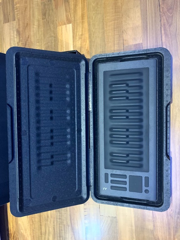 ROLI Seaboard Rise 25, Hobbies & Toys, Music & Media, Musical ...