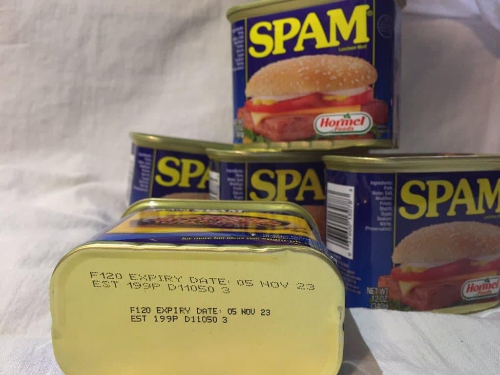 Spam Regular Luncheon Meat 340G, Food & Drinks, Packaged & Instant Food ...