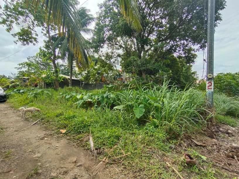 Canlaon View Subd, Murcia, Negros Occidental, Bacolod, Property, For ...