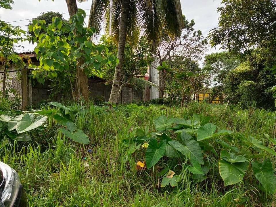 Canlaon View Subd, Murcia, Negros Occidental, Bacolod, Property, For ...