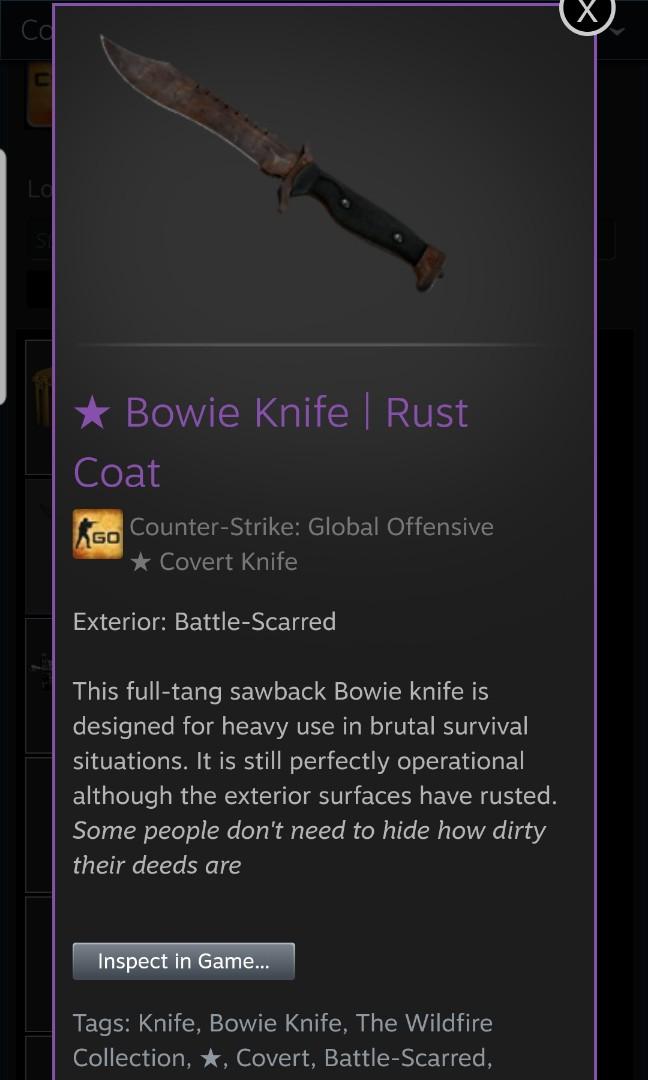 CSGO Bowie Knife Rust Coat BS, Video Gaming, Gaming Accessories, Game ...