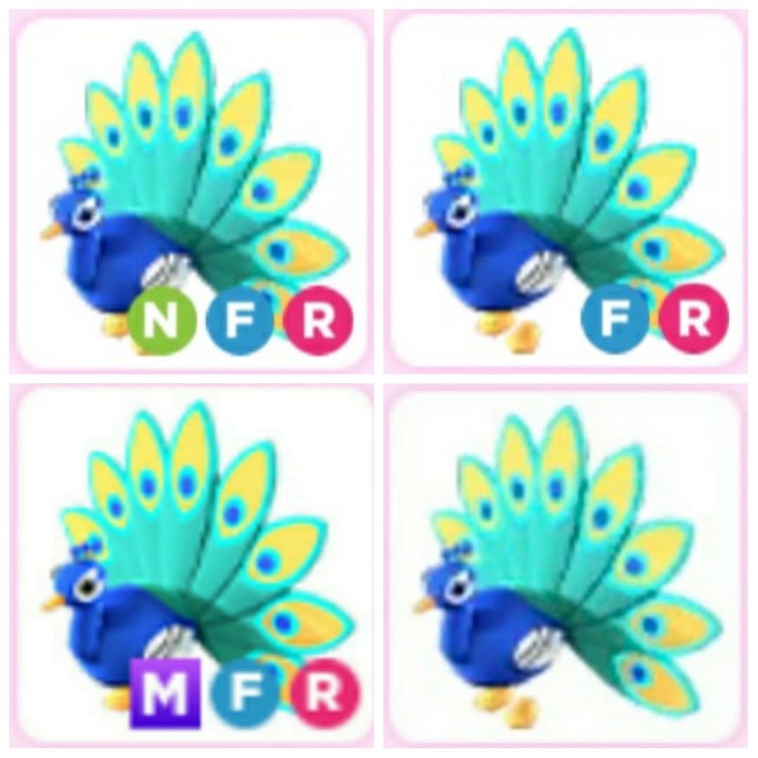 Peacock Normal NFR M Adopt me pet Roblox, Video Gaming, Gaming ...