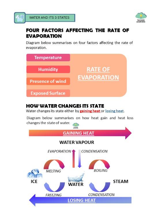 2023PSLE Science Bundle (science notes) (top schools) (Primary 5 ...