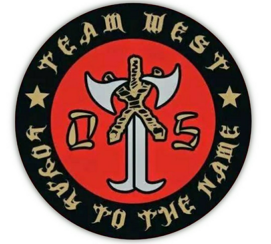 Customised Team, Group, Association, Club Car Decals & Stickers ...