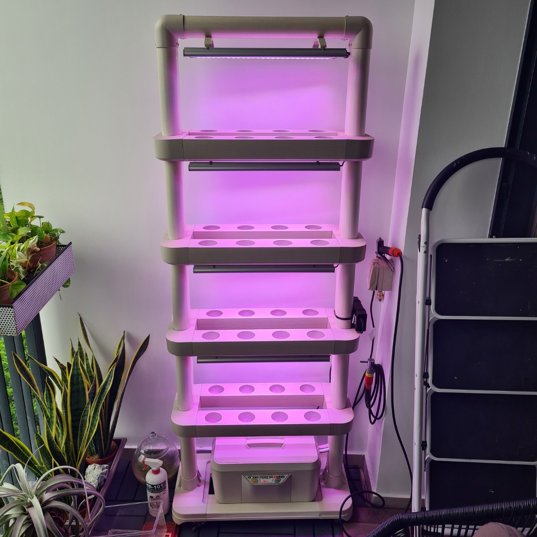 Advanced Hydroponics System, Furniture & Home Living, Gardening ...
