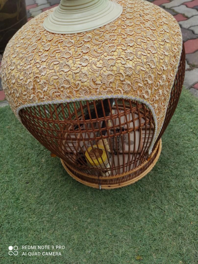 Merbok cage, Pet Supplies, Homes & Other Pet Accessories on Carousell