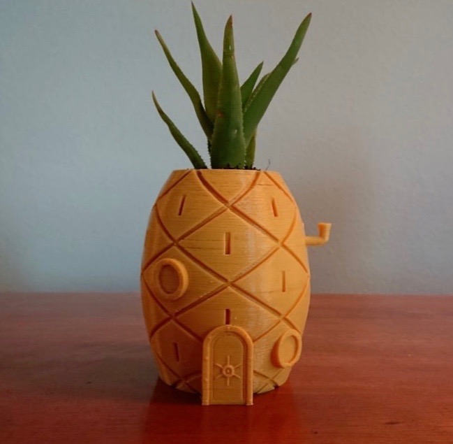 Spongebob Squarepants Pineapple plant pot, Food & Drinks, Local Eats on ...
