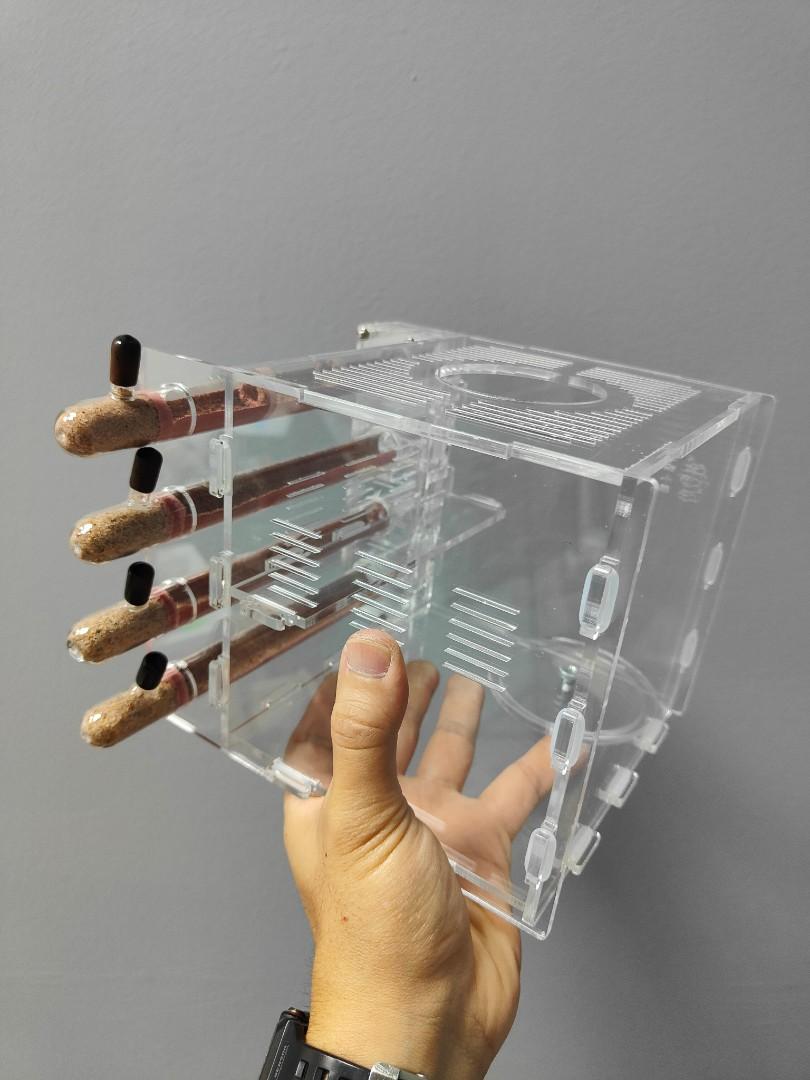 ant Formicarium Ant Formicarium ant cage ant house. Queen ant, Pet ...