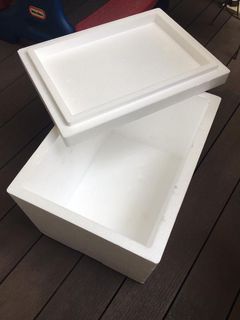 Box / styrofoam ice box / cooler box / picnic box / fish box, Furniture ...