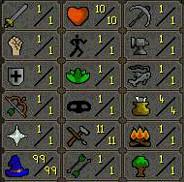 Osrs pure mage, Video Gaming, Gaming Accessories, Game Gift Cards ...