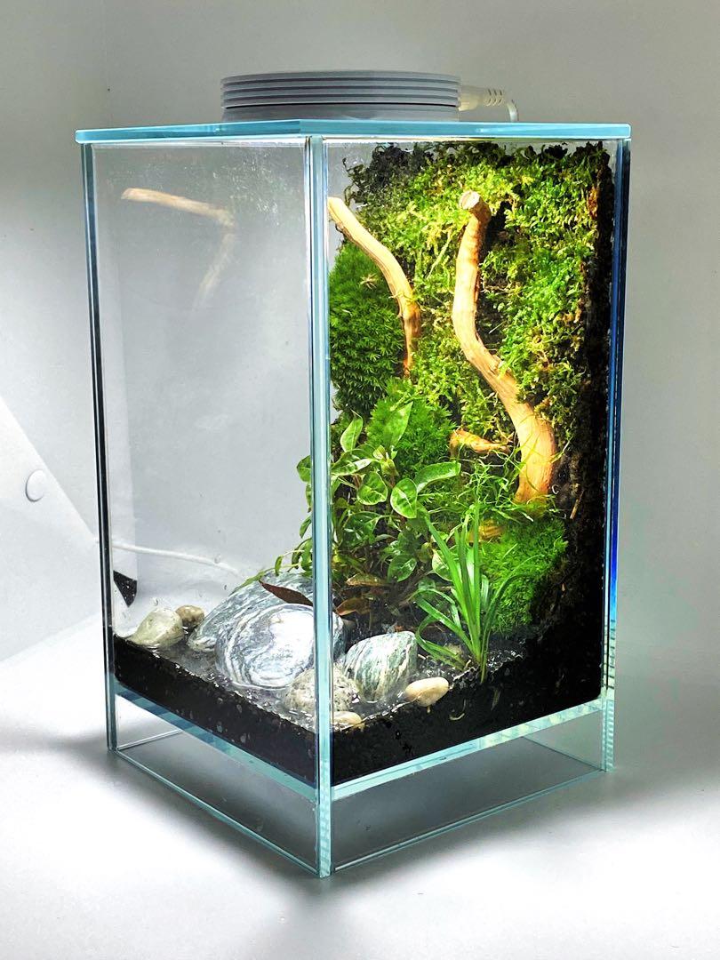 Vertical Moss Wall terrarium, Furniture & Home Living, Home Decor ... Vertical Moss Wall terrarium, Furniture & Home Living, Home Decor ...