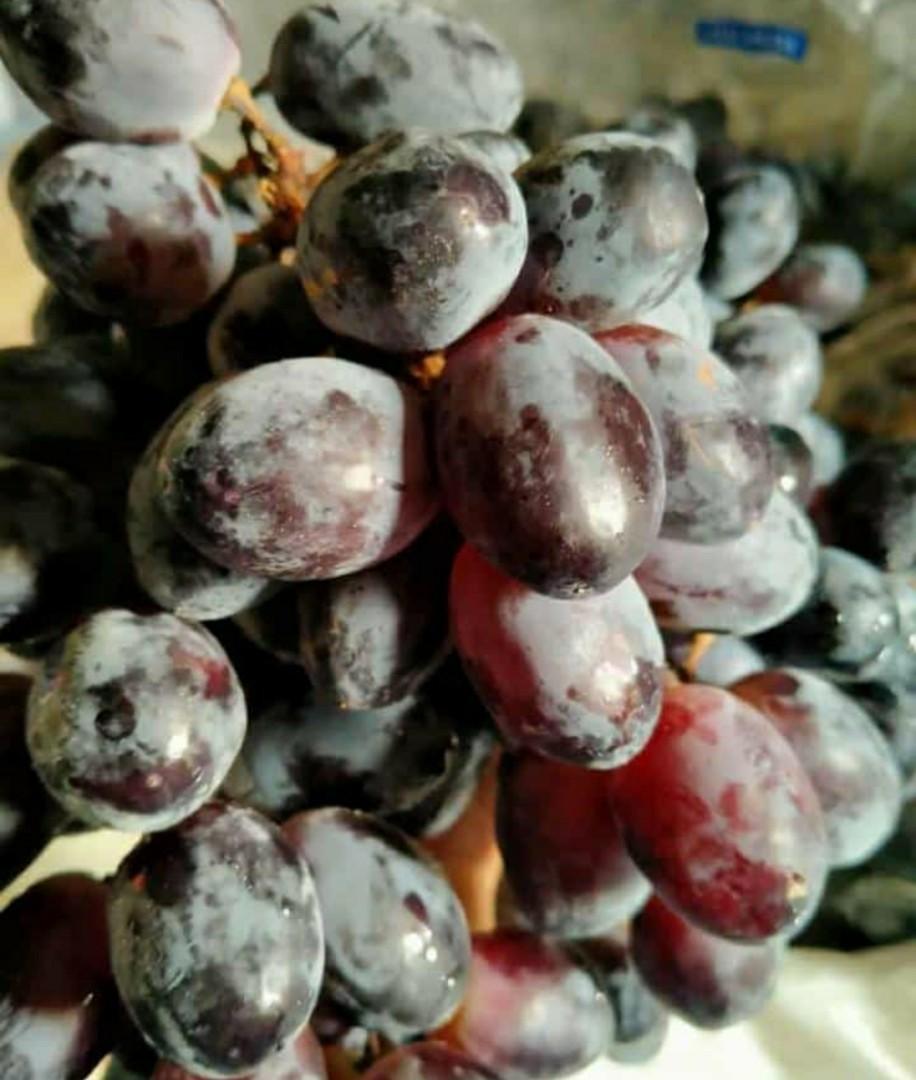 Anggur 1kg, Makanan & Minuman, Minuman Tidak Beralkohol di Carousell