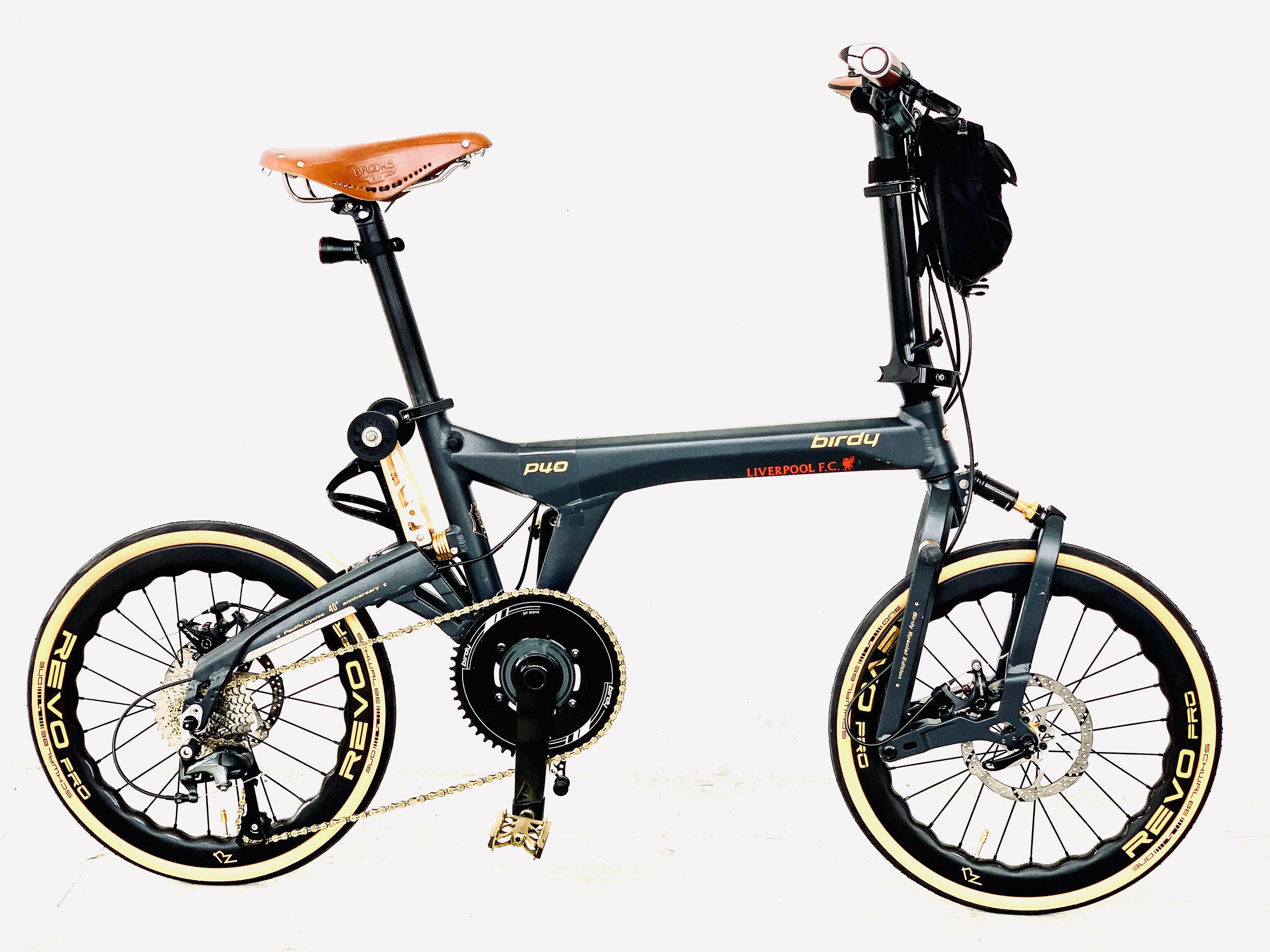 (Birdy Carbon Wheels) BZ BIKES REVOpro BIRDY Carbon Wheelset (strictly ...