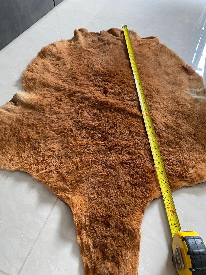 Large Kangaroo Skin Rug Hide, Furniture & Home Living, Home Decor ...