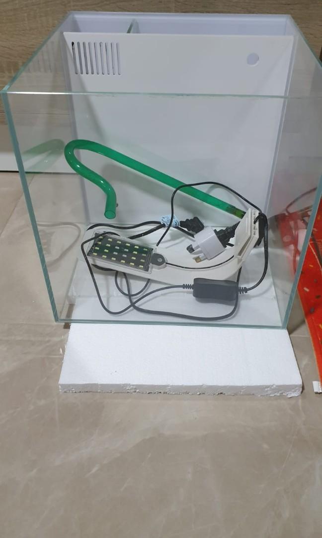 1ft x 1ft x 1ft Fish tank (LED and Pump Included), Pet Supplies, Homes ...