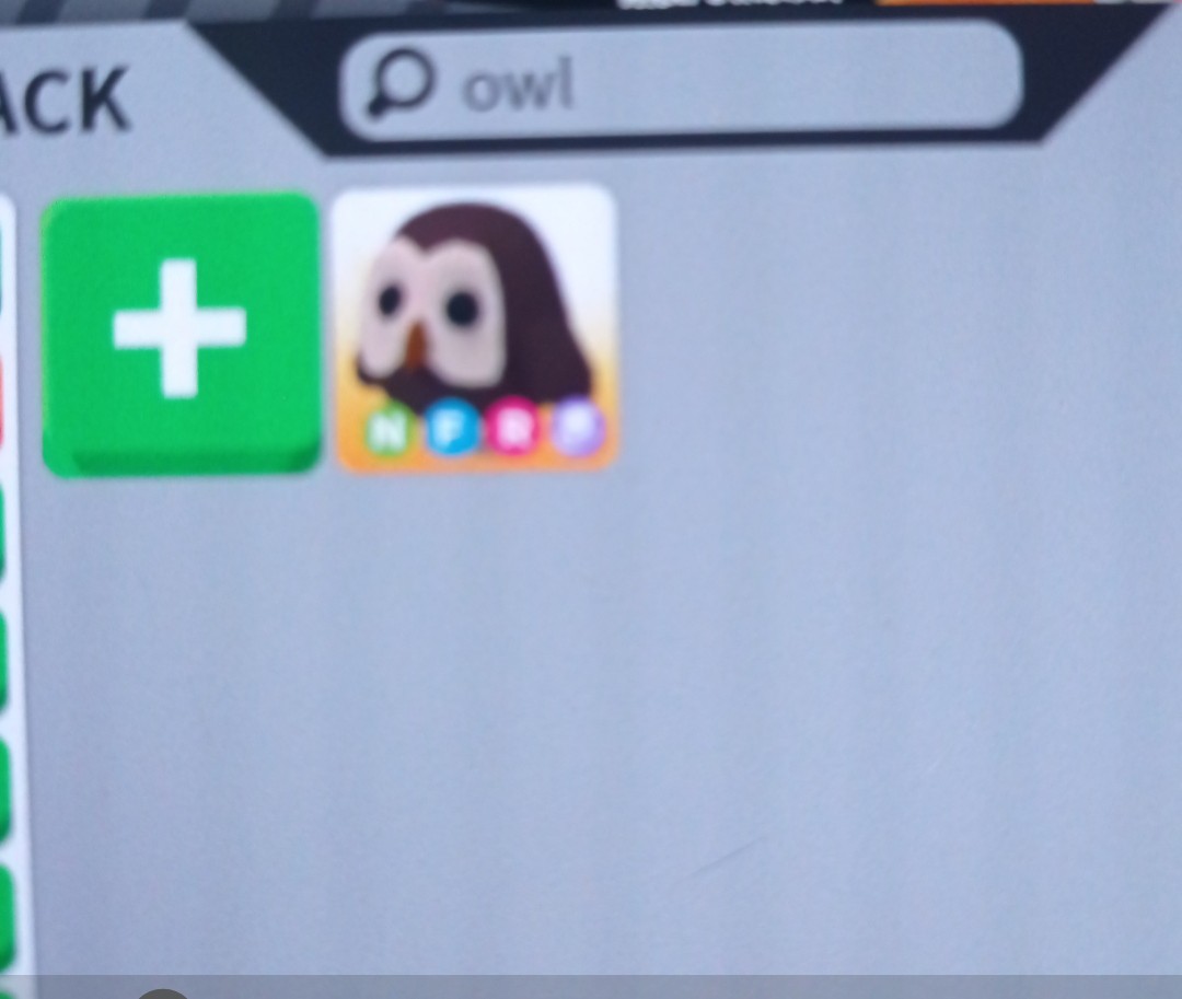 NEON FLY RIDE OWL ADOPT ME, Hobbies & Toys, Toys & Games on Carousell