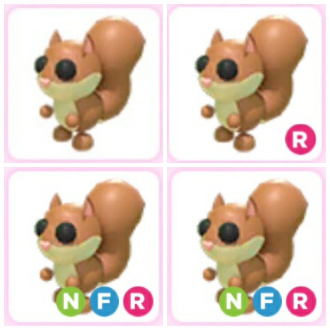 Squirrel Adopt me pet Roblox, Video Gaming, Gaming Accessories, Game ...
