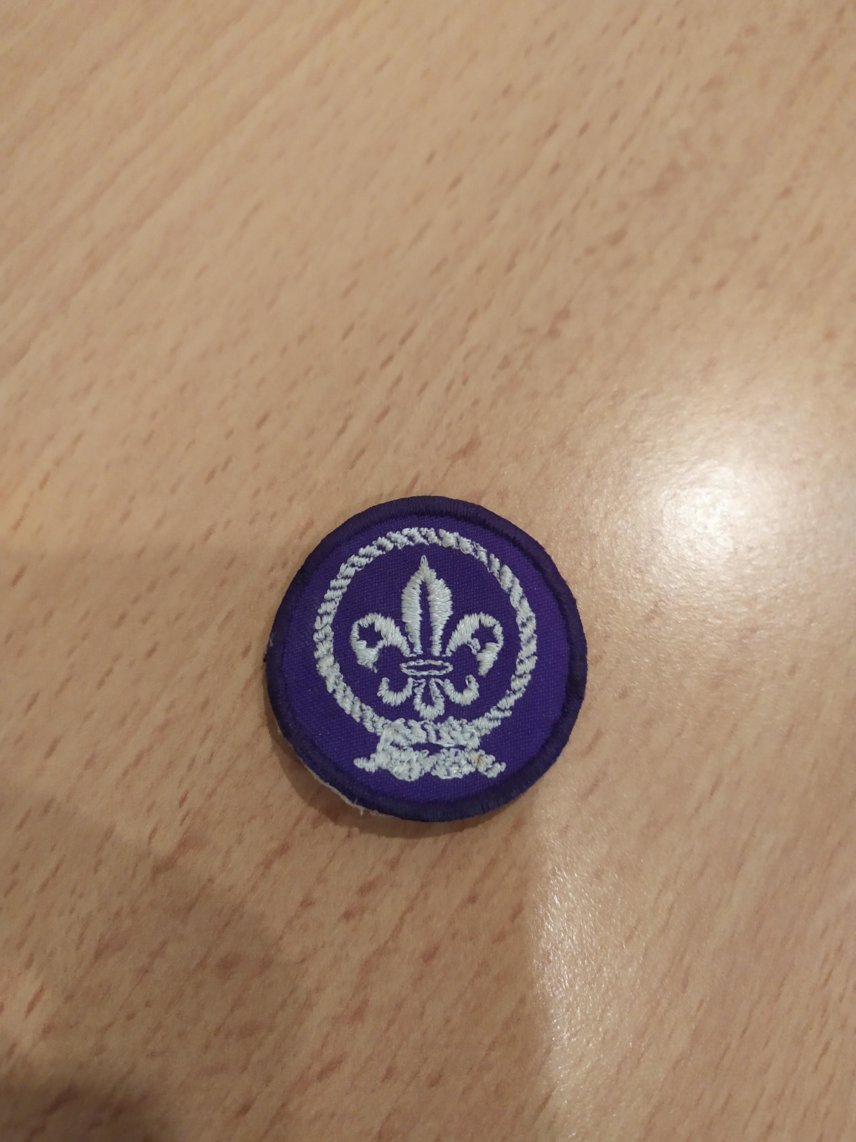 Vintage Scout Emblem Embroidered Patch Badge, Hobbies & Toys ...