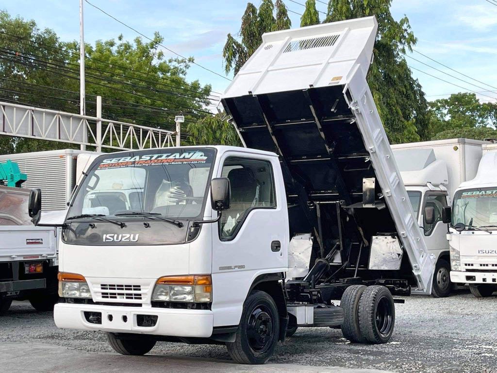 2020 Isuzu Elf Mini Dump Truck Molye 4HF1 In-Line No Computer Box ...
