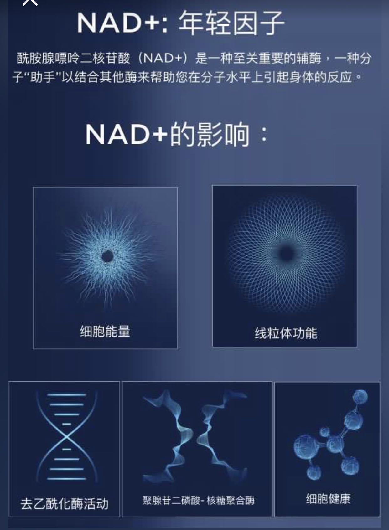 美商婕斯 Life NMN Support NDA+ LEVELS, 健康及營養食用品, 健康補充品, 健康補充品 - 保健食品，飲料和補品 ...