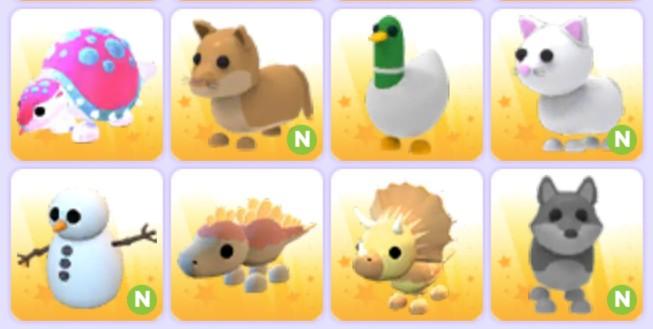 Adopt Me Uncommon Pets, Video Gaming, Gaming Accessories, Game Gift ...