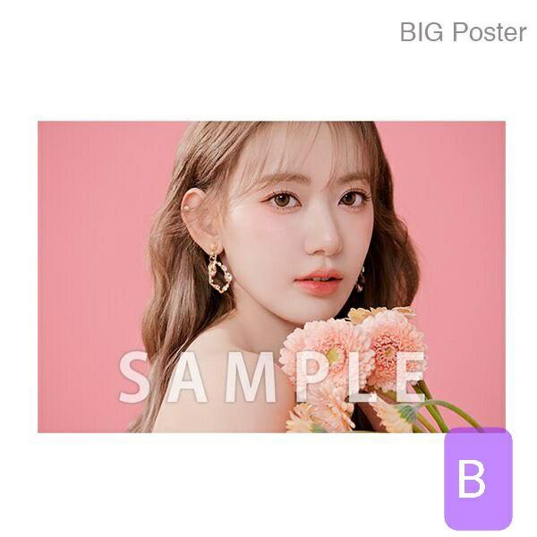 [GO] HKT48 Miyawaki Sakura Graduation Visual Booklet Bromides Poster ...