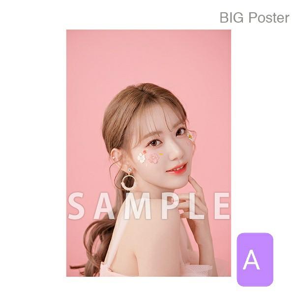 [GO] HKT48 Miyawaki Sakura Graduation Visual Booklet Bromides Poster ...