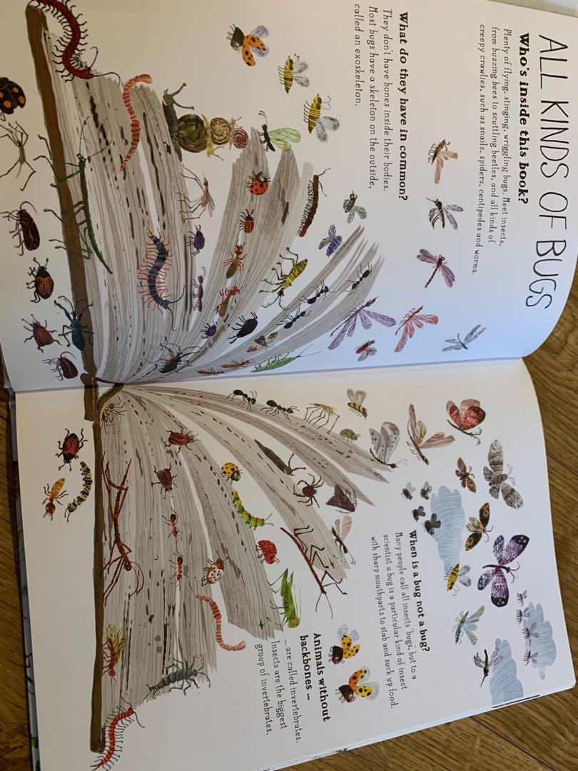 The Big Book of Bugs 100% Original, Hobbies & Toys, Books & Magazines ...