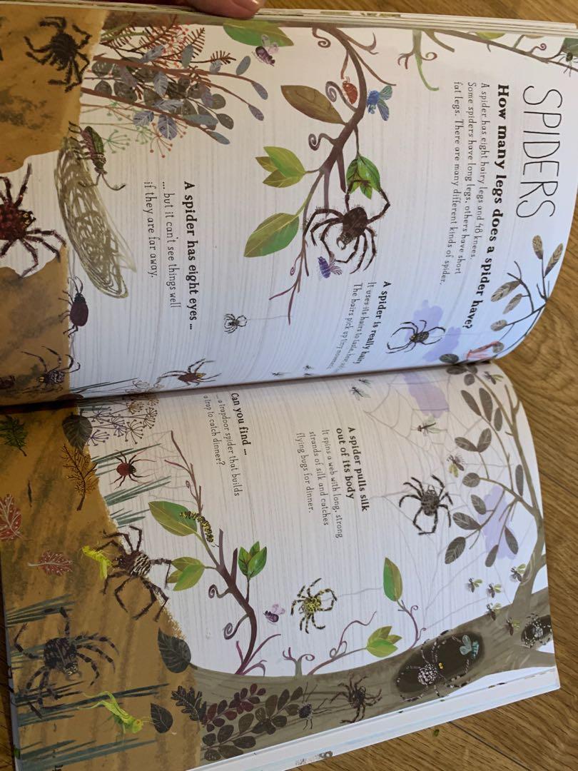 The Big Book of Bugs 100% Original, Hobbies & Toys, Books & Magazines ...