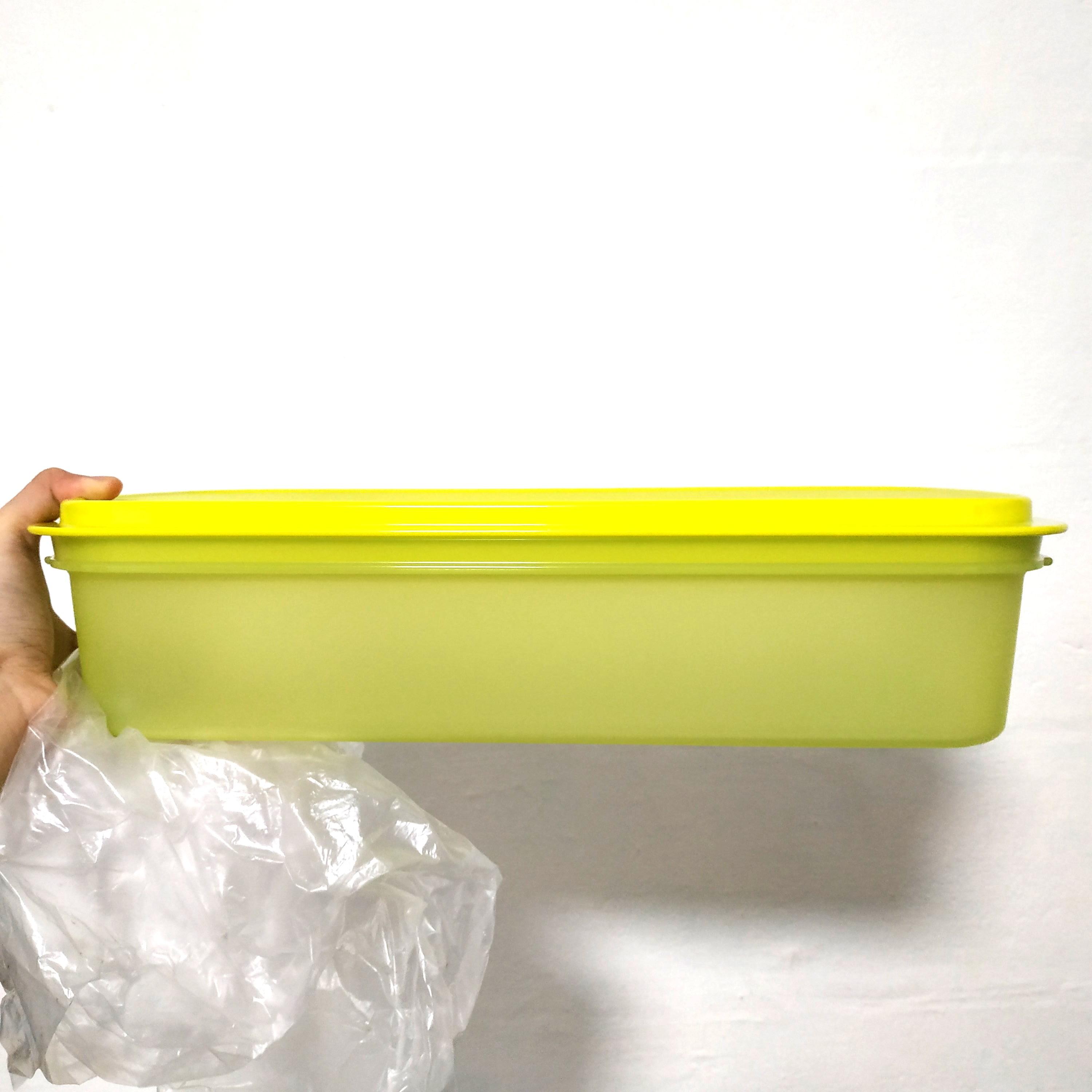Tupperware 3.2L Shallow Carry All Rectangular Container, Furniture ...