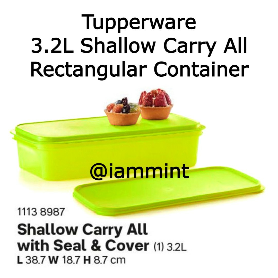 Tupperware 3.2L Shallow Carry All Rectangular Container, Furniture ...