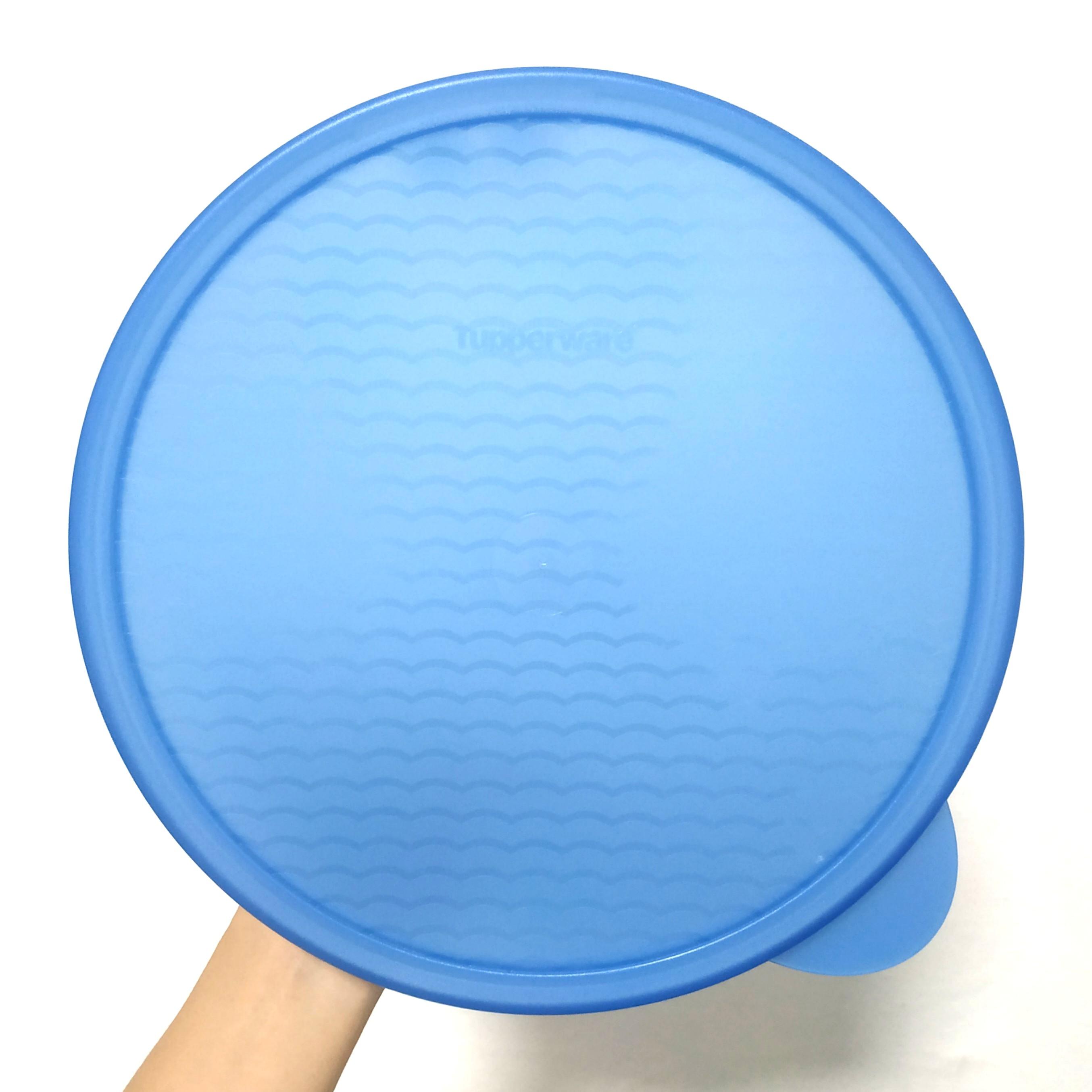 Tupperware 4.7L Round Fridge Smart with Lock Vent Large Veggie ...