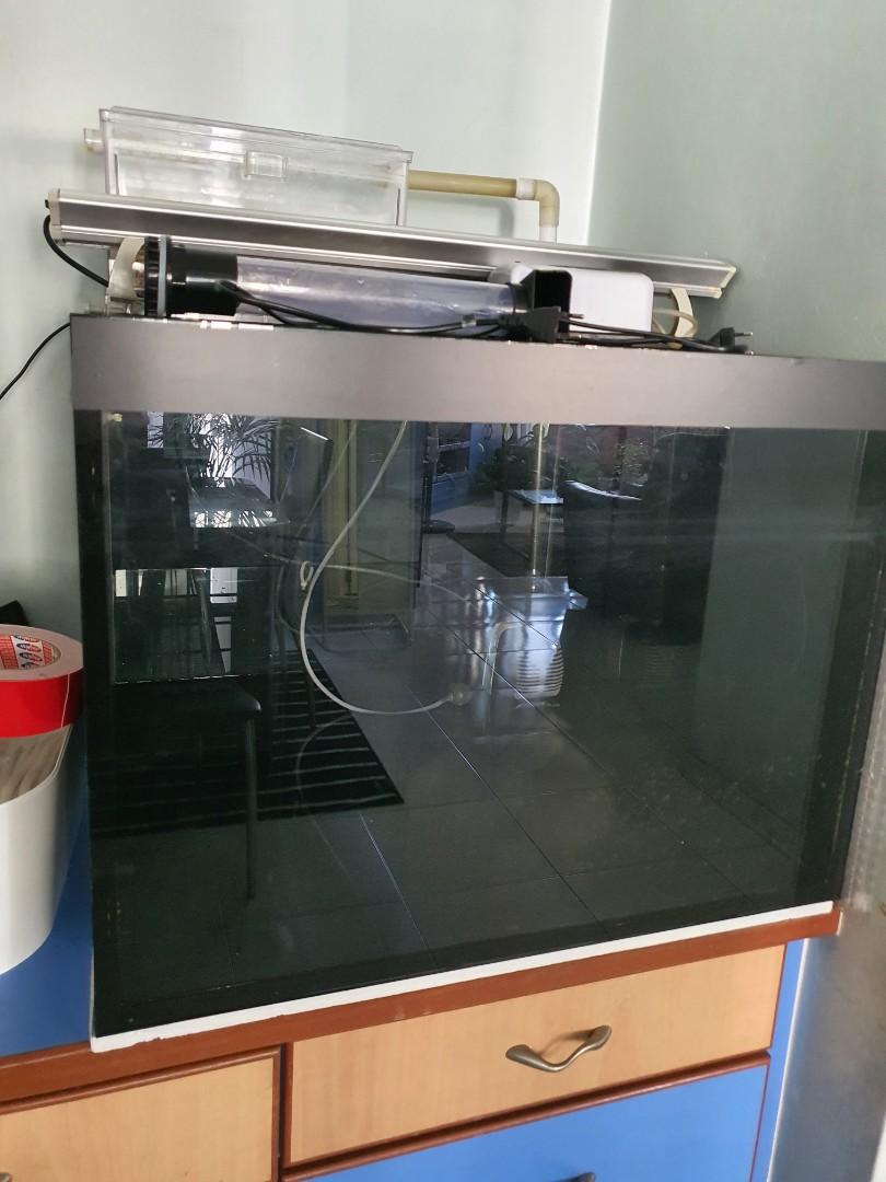 2ft x 2ft x 1.5ft Tank, Pet Supplies, For Fish, Fish Tanks on Carousell