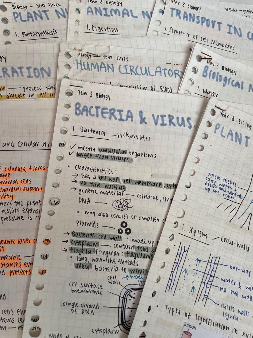 HANDWRITTEN sec3/4 biology notes, Hobbies & Toys, Books & Magazines ...
