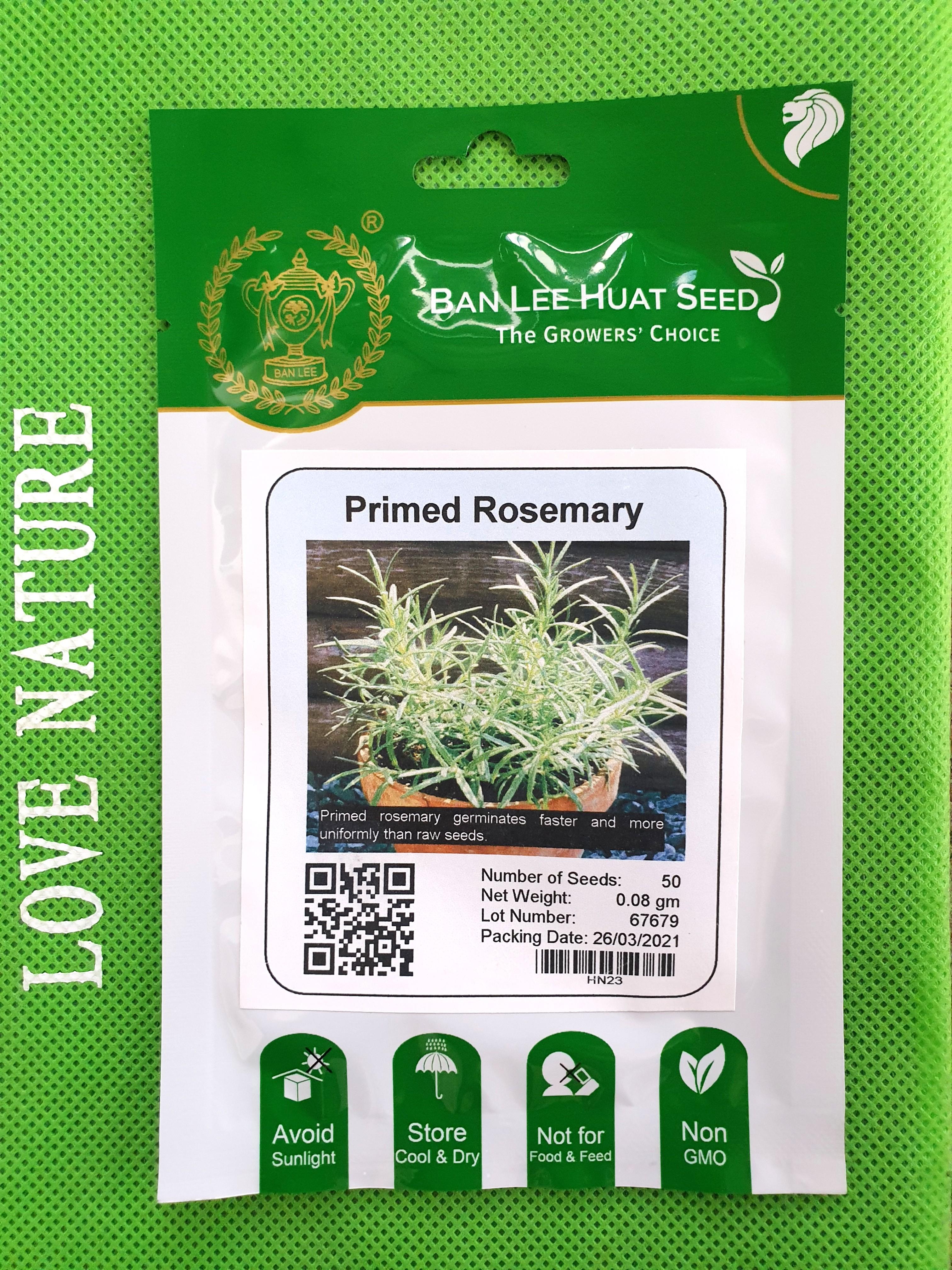 Primed Rosemary seeds, Furniture & Home Living, Gardening, Plants ...