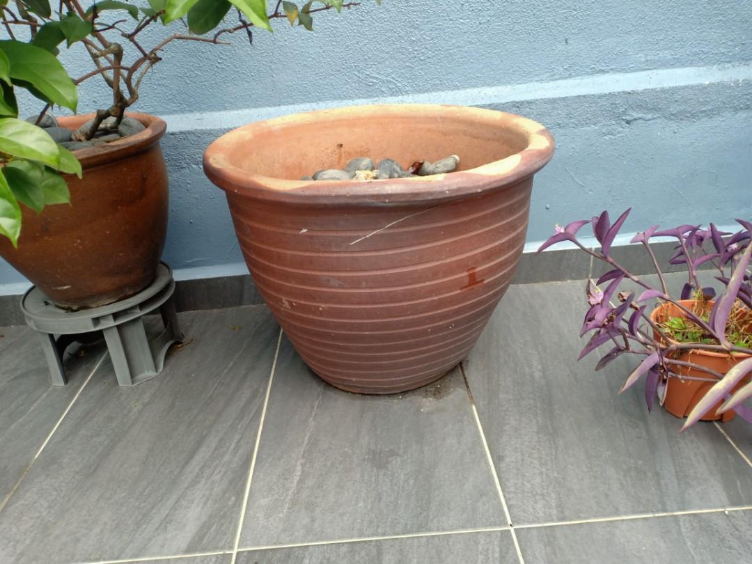 Pasu besar & batu sungai, Furniture & Home Living, Gardening, Gardening ...