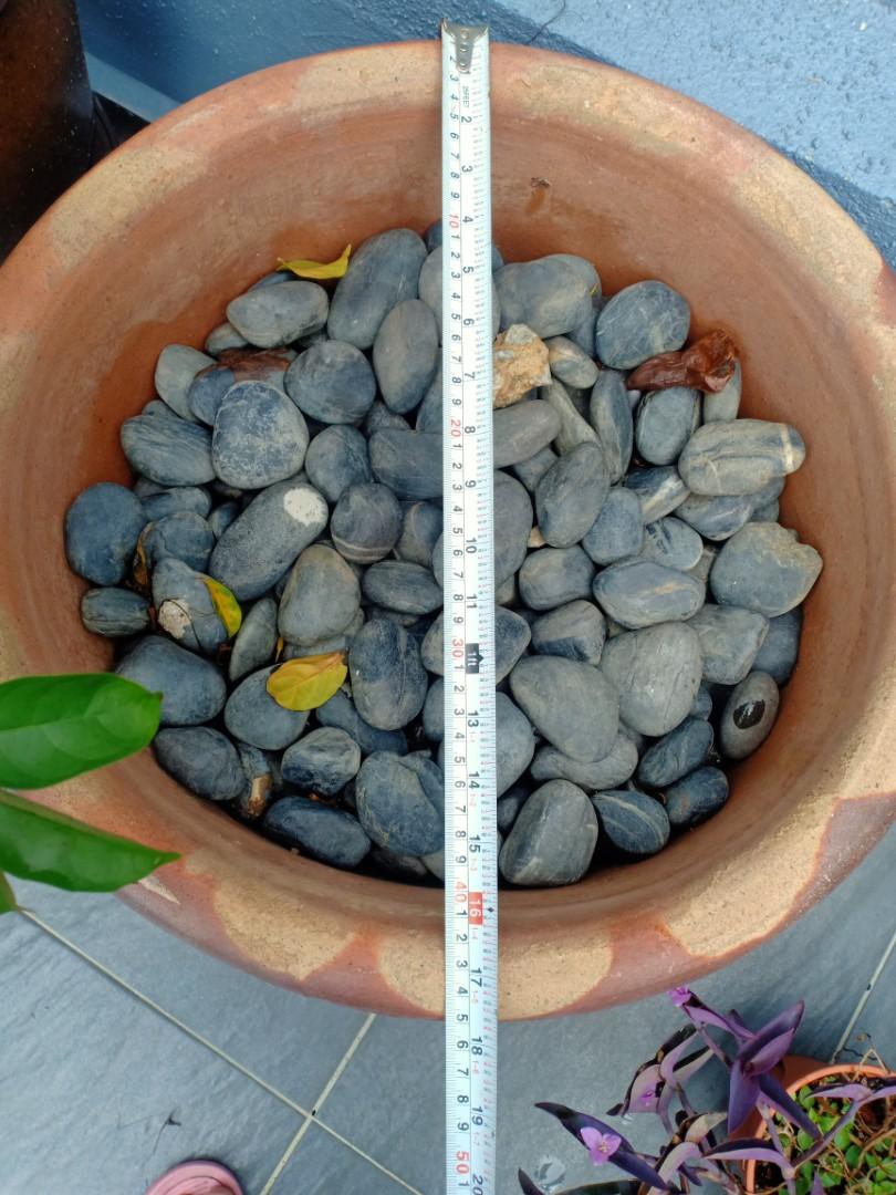 Pasu besar & batu sungai, Furniture & Home Living, Gardening, Gardening ...