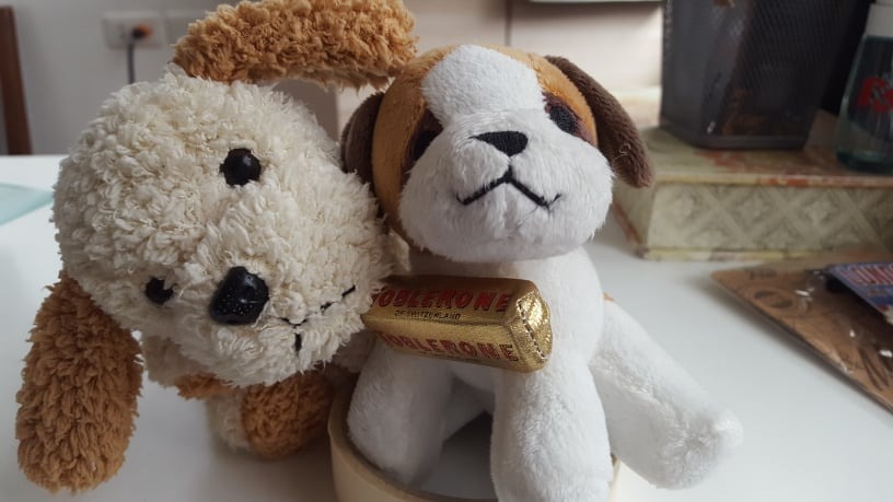 SALE! PRE-LOVED Puppy Stuff Toy Duo, Hobbies & Toys, Toys & Games on ...