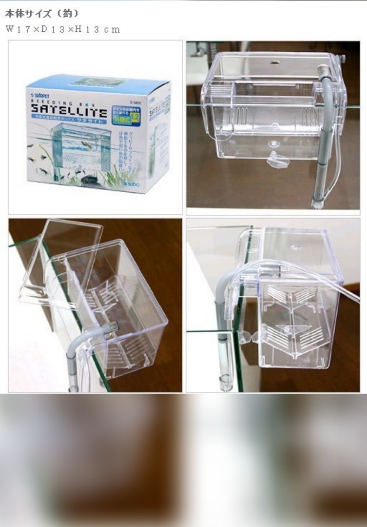 Sudo Satelite External Breeding Box 1.2L, Pet Supplies, Homes & Other ...