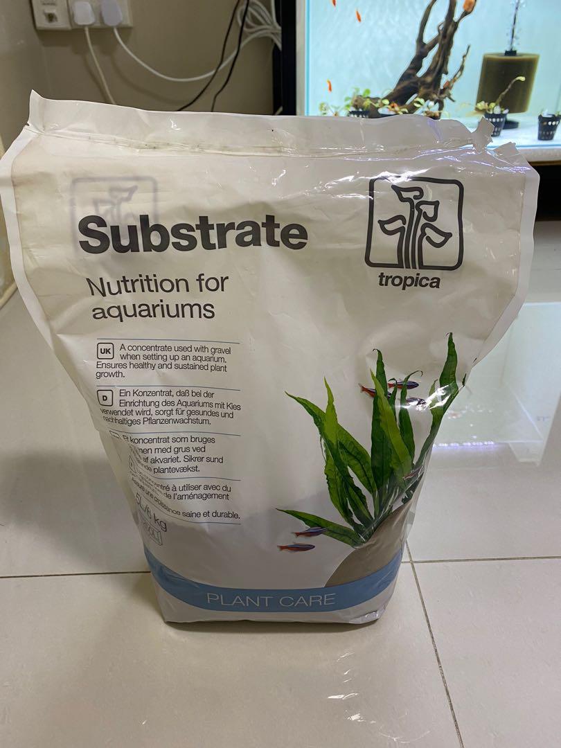 Tropica Base Substrate, Furniture & Home Living, Gardening, Plants ...
