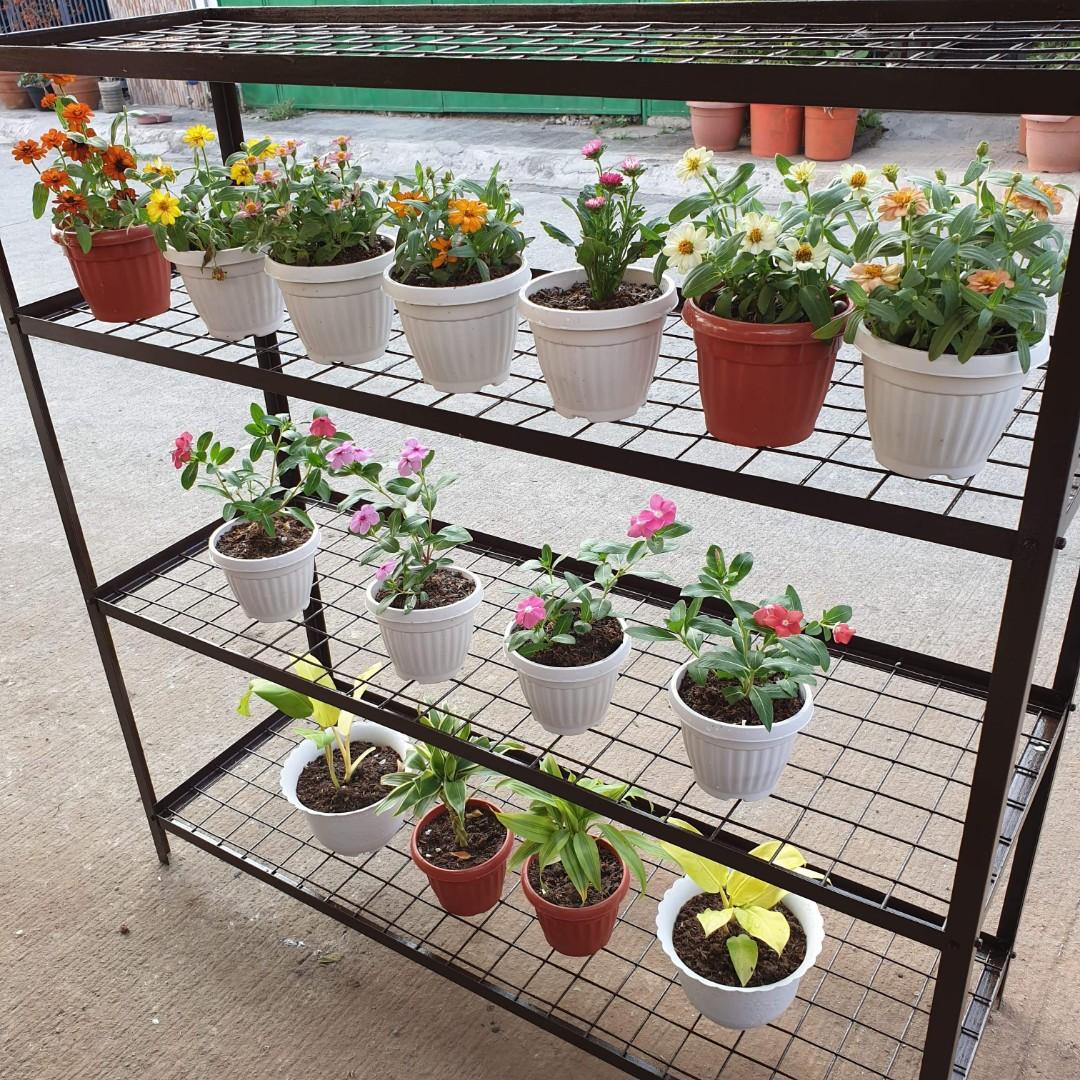 4 Layers Metal Plant Rack, Furniture & Home Living, Gardening, Plants ...