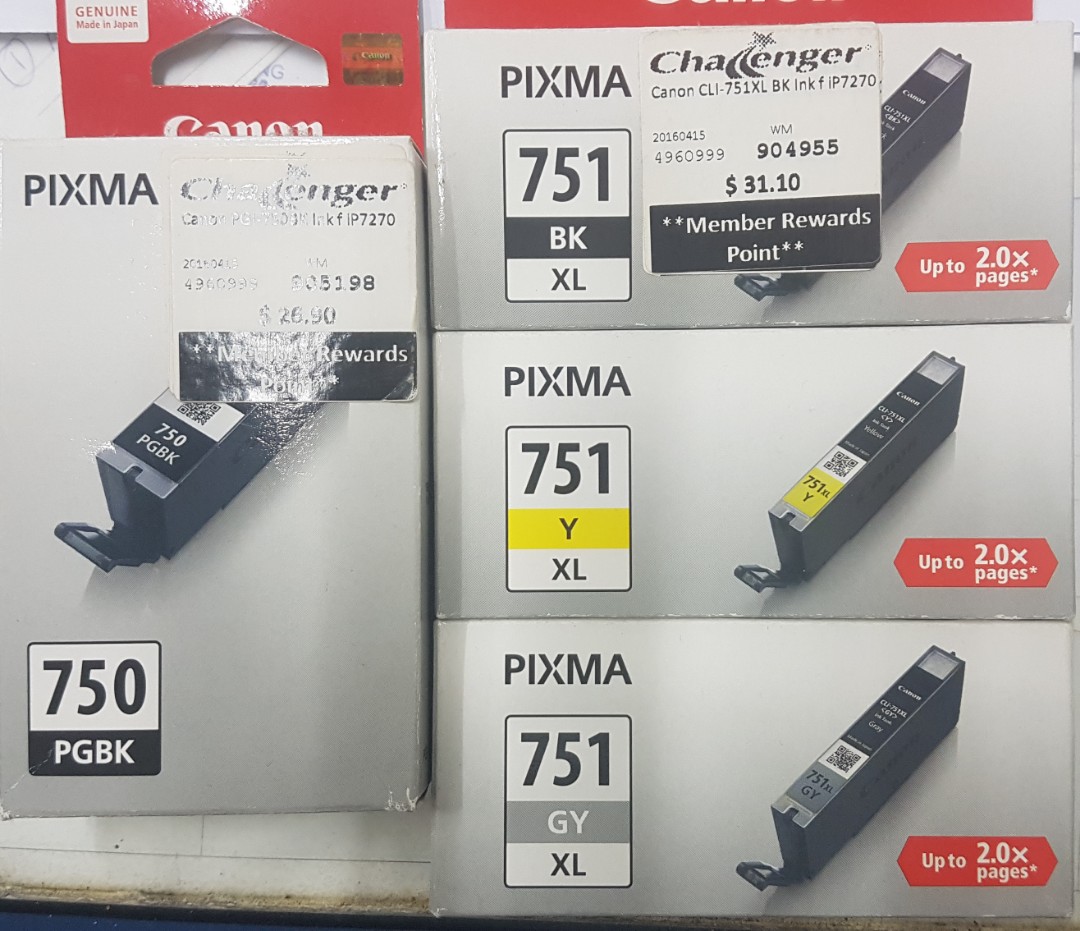 BNIB CANON PIXMA 750 and 751, Computers & Tech, Printers, Scanners ...