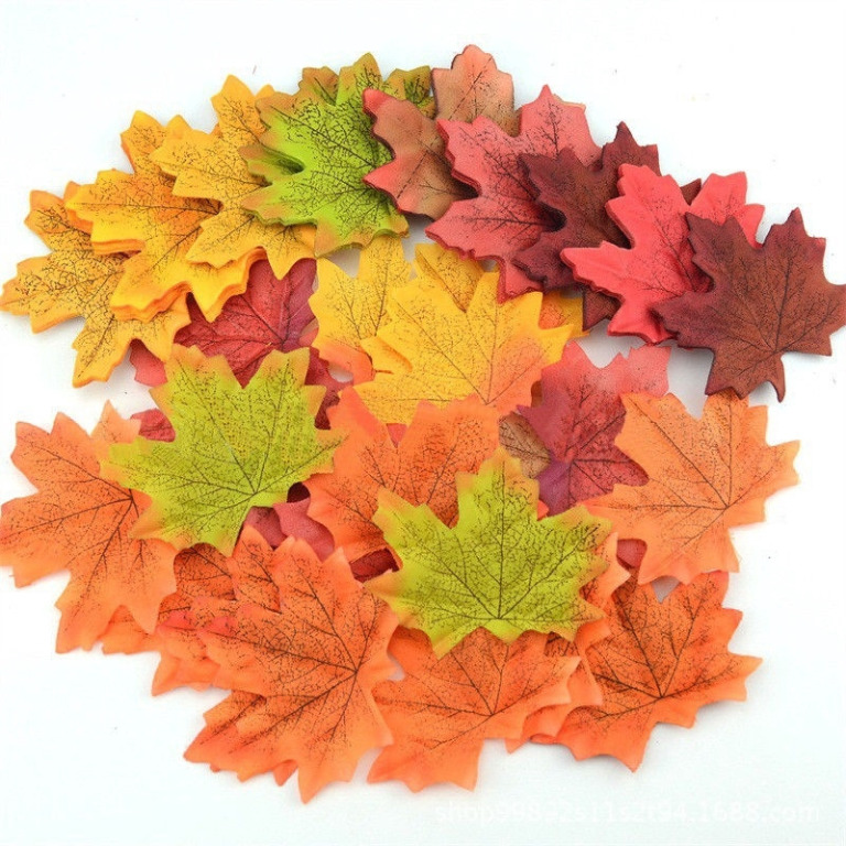 Maple Leaves (Props for Photoshoot), Hobbies & Toys, Stationary & Craft ...