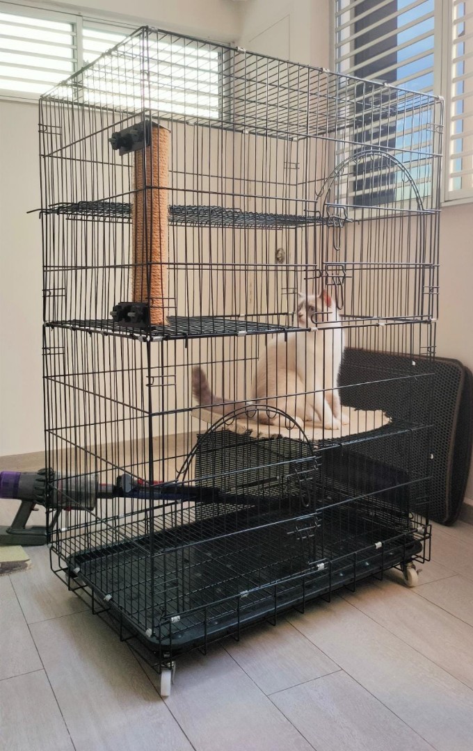 3 tier cat cage, Pet Supplies, Homes & Other Pet Accessories on Carousell