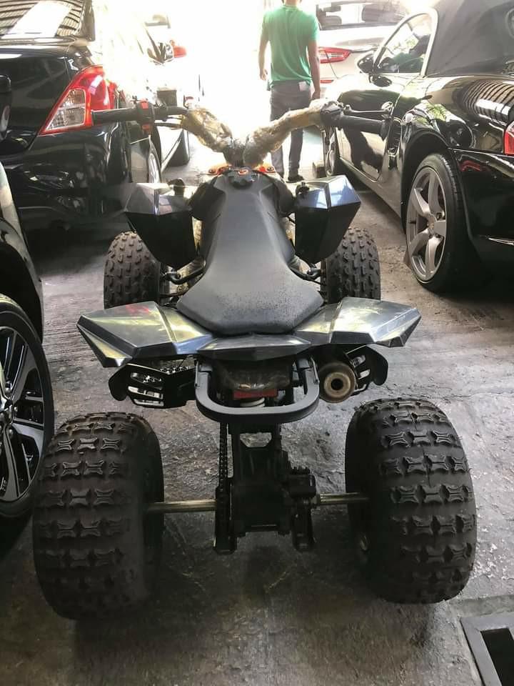 ATV 100cc Bnew, Motorbikes, Motorbikes for Sale on Carousell