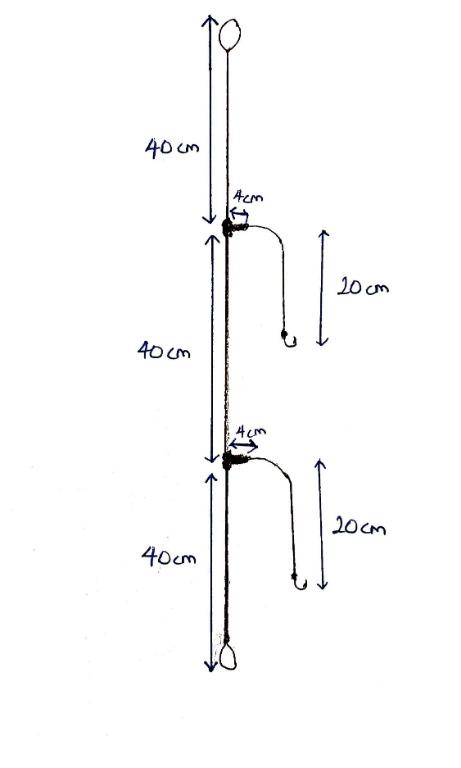 Fishing Rig | Double Apollo Fishing Rig, Sports Equipment, Fishing on ...