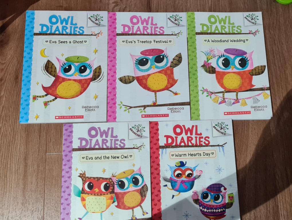 Owl diary, Hobbies & Toys, Books & Magazines, Children's Books on Carousell